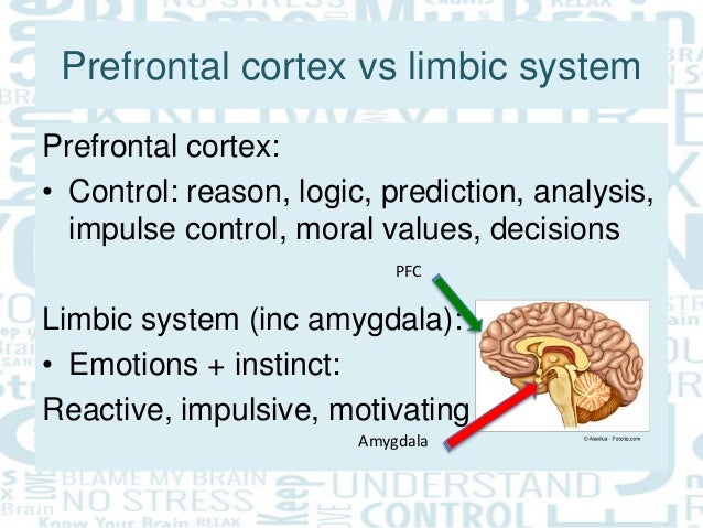 Adolescence - brain, stress and wellbeing