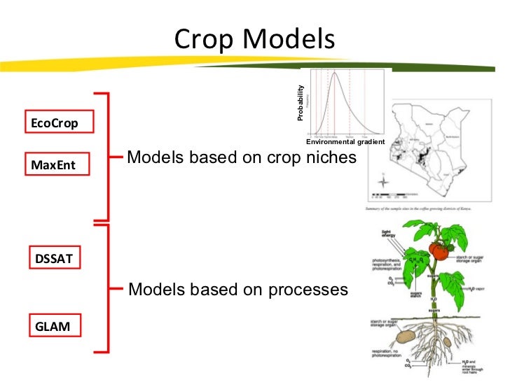 Crop Models Probability EcoCrop Environmental