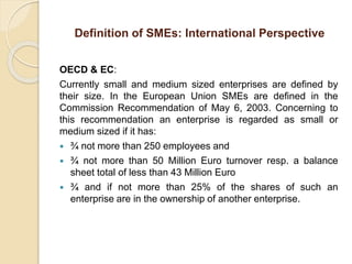 Introduction to small & Medium Enterprises (SMEs) | PPTX