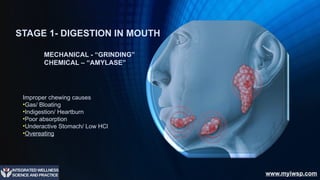 DAY 03_DIET-ANATOMY OF DIGESTION -IWSP 5.pptx