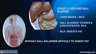 DAY 03_DIET-ANATOMY OF DIGESTION -IWSP 5.pptx