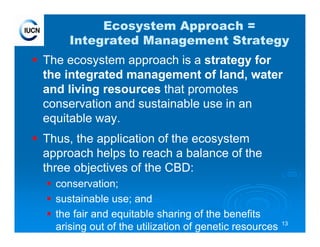 Environmental Conservation and Ecosystem Services in River Basins | PPT