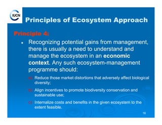 Environmental Conservation and Ecosystem Services in River Basins | PPT