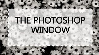 DAY 1 - Introduction to Photo Editing and Photoshop CS6 | PPTX