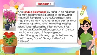 Day 1- Kinder PPT Q3 Week 8 MATATAG.pptx