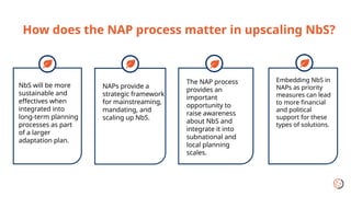 Scaling up NbS through the NAP process.pptx