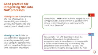Scaling up NbS through the NAP process.pptx