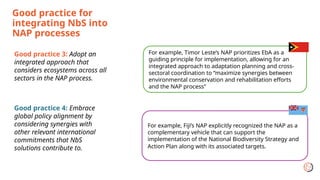Scaling up NbS through the NAP process.pptx