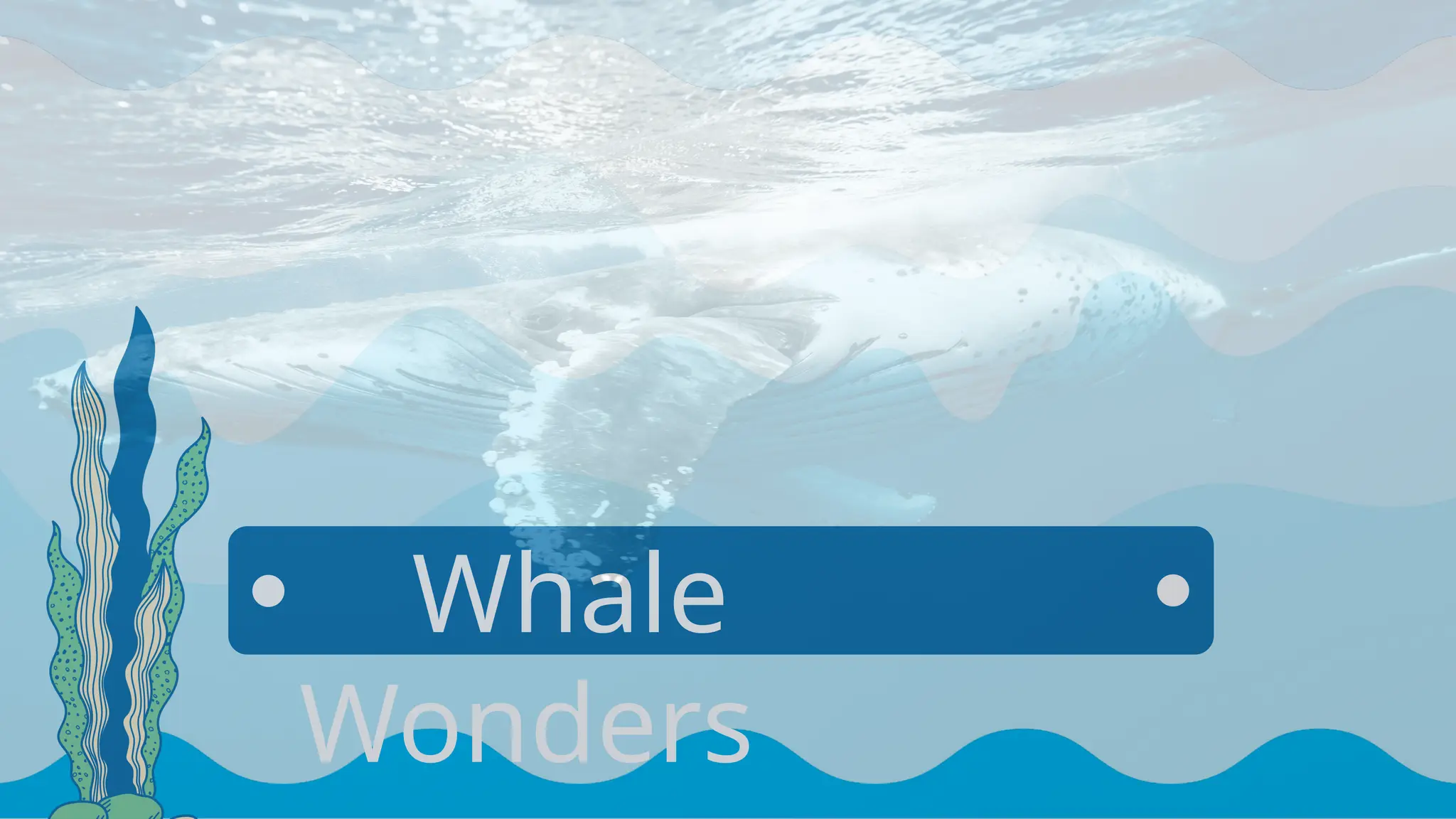 Day 1 - Science Facts - Whale. Dive into science | PPTX
