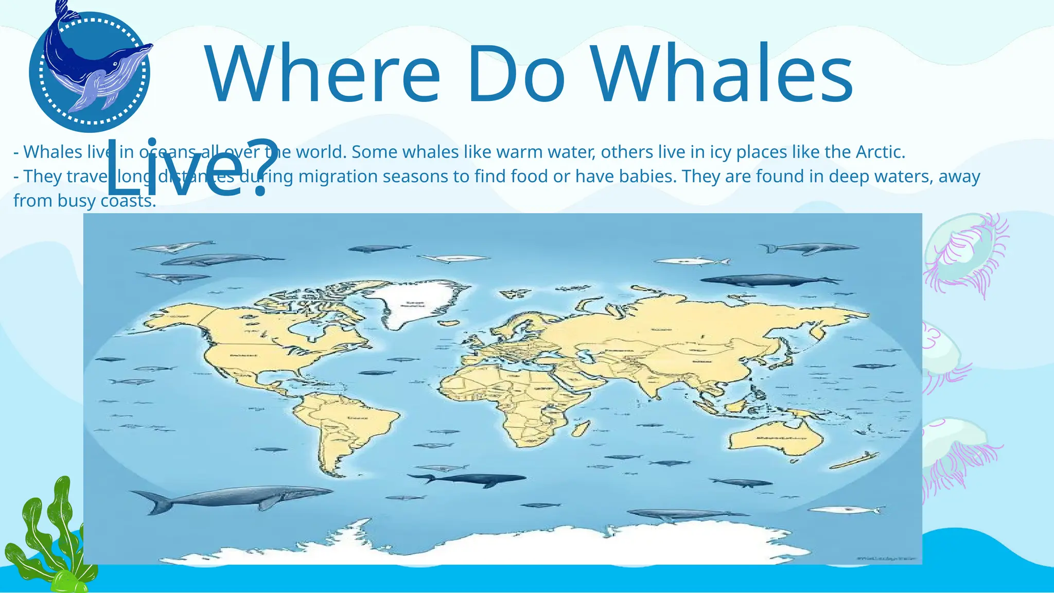 Day 1 - Science Facts - Whale. Dive into science | PPTX