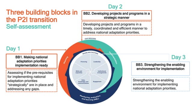 Self-assessment: Planning to implementation in the NAP process ...