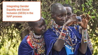 Self-assessment: Planning to implementation in the NAP process ...