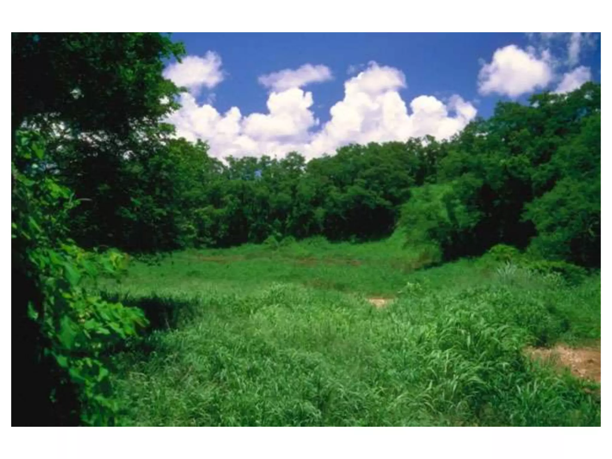Day 1 types of biomes | PPT
