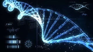 Poppy Gustafsson (CEO/Founder, Darktrace) - Building A Billion Dollar ...