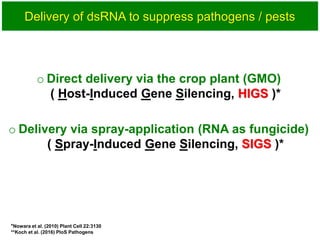 Potential for dsRNA-based management of plant diseases - Karl-Heinz ...