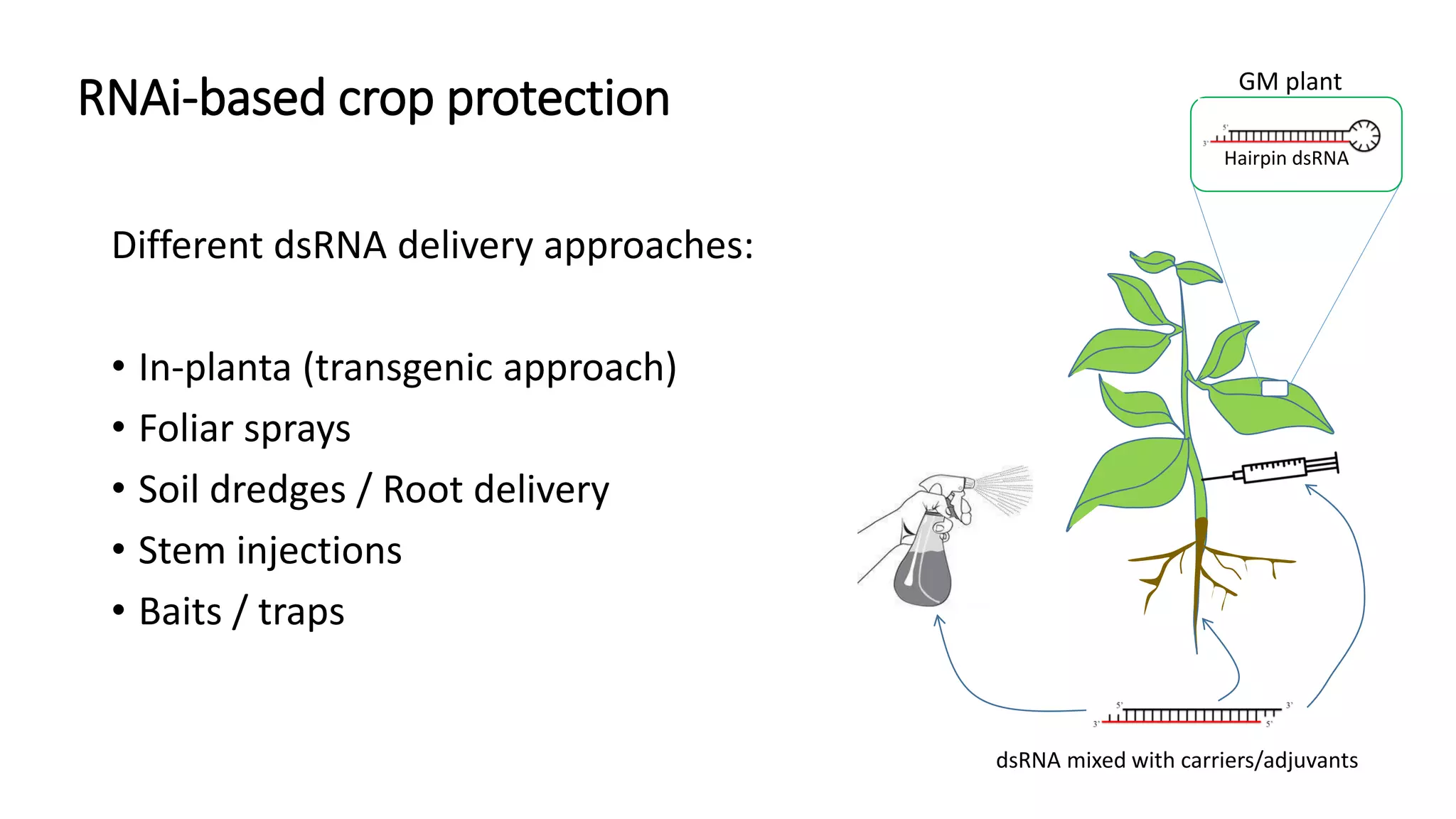 RNA interference technologies to control pests and pathogens - Steve ...