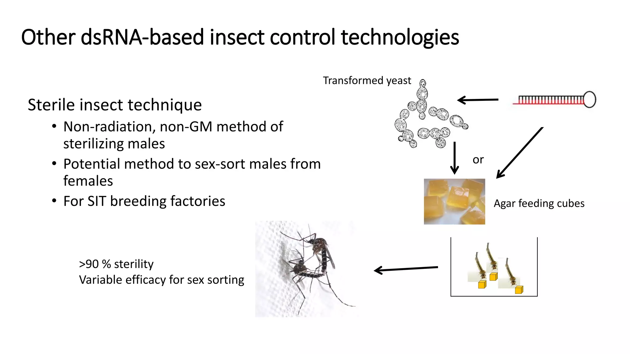RNA interference technologies to control pests and pathogens - Steve ...