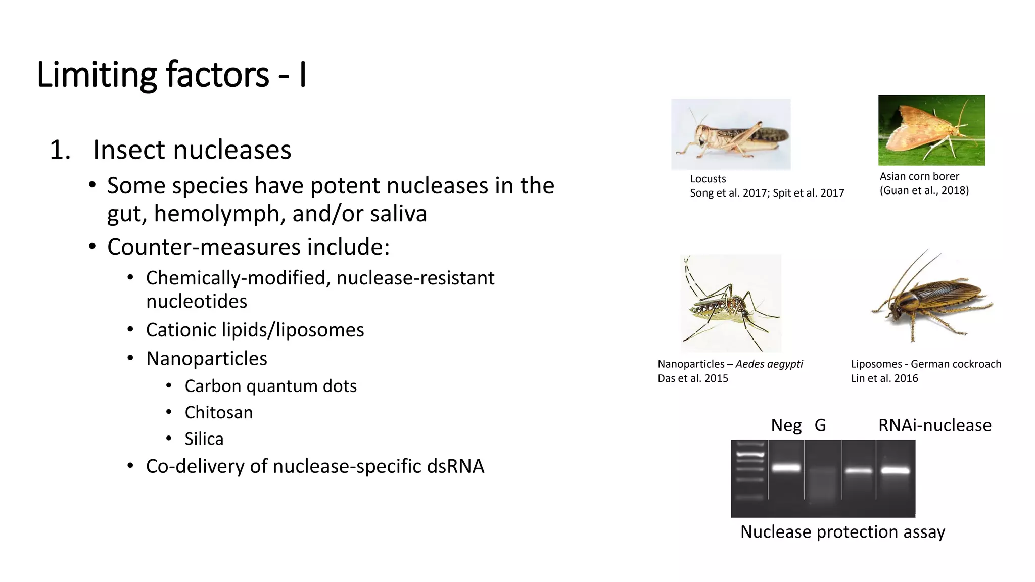RNA interference technologies to control pests and pathogens - Steve ...