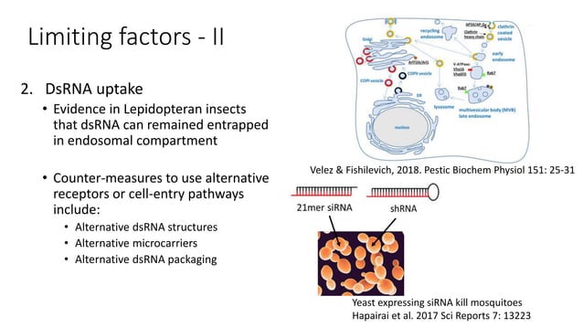 RNA interference technologies to control pests and pathogens - Steve Whyard - University of ...