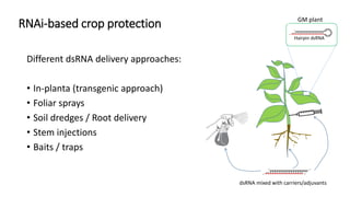 RNA interference technologies to control pests and pathogens - Steve ...