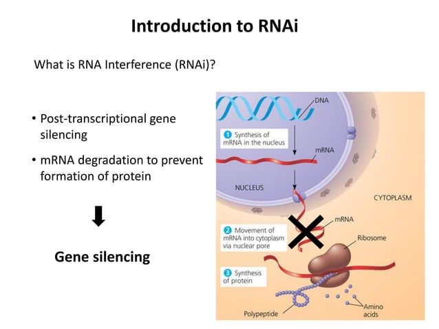 RNAi as a novel technology in pest control: current status and ...