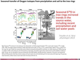 Tree rings and stable isotopes to access role of trees an forests in ...