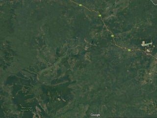 Forest smart solutions (World Bank, Profor) | PPT