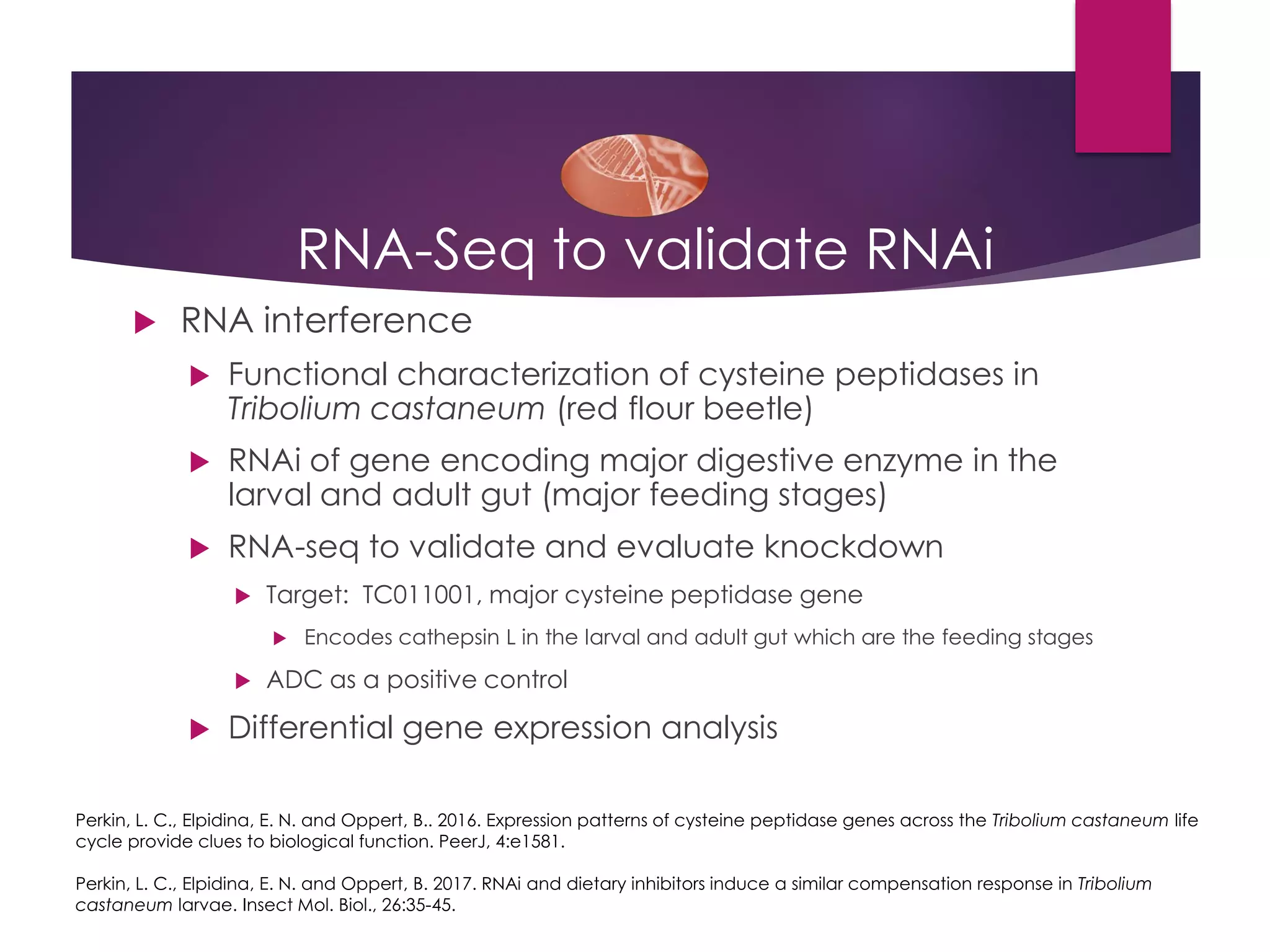Validation of RNA interference by RNA-Seq: How to see the big picture ...