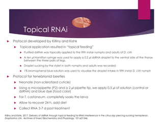 Validation of RNA interference by RNA-Seq: How to see the big picture ...