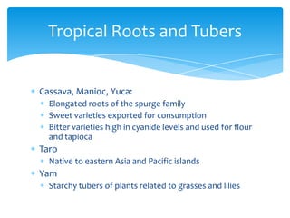 Day 12 roots and tubers | PPTX
