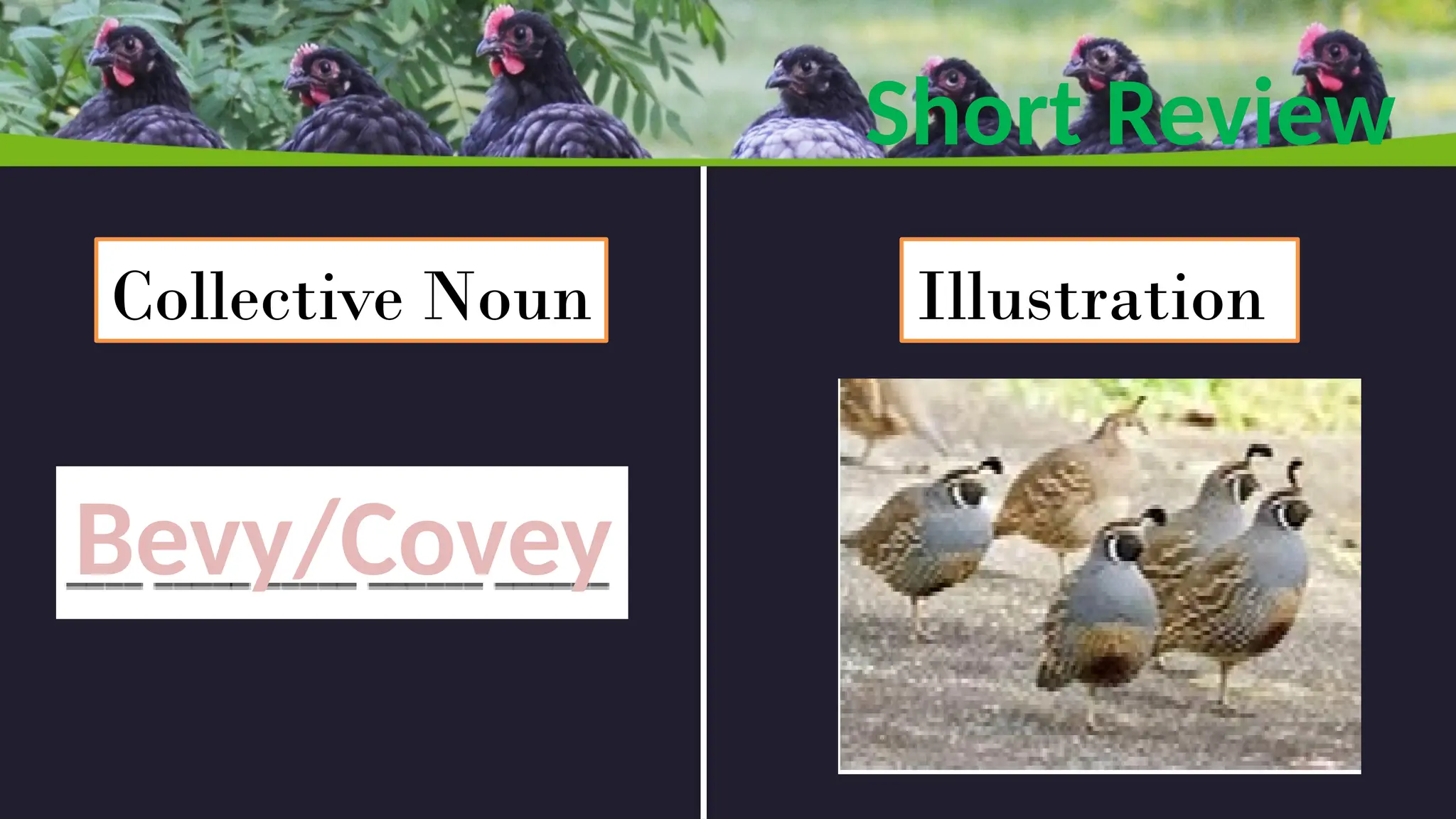 Day 13-16 (Breeds of Farm Animals Chicken, Duck, and Quail).pptx