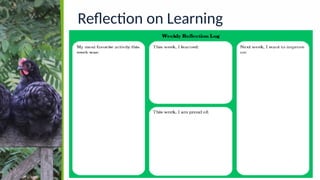 Day 13-16 (Breeds of Farm Animals Chicken, Duck, and Quail).pptx