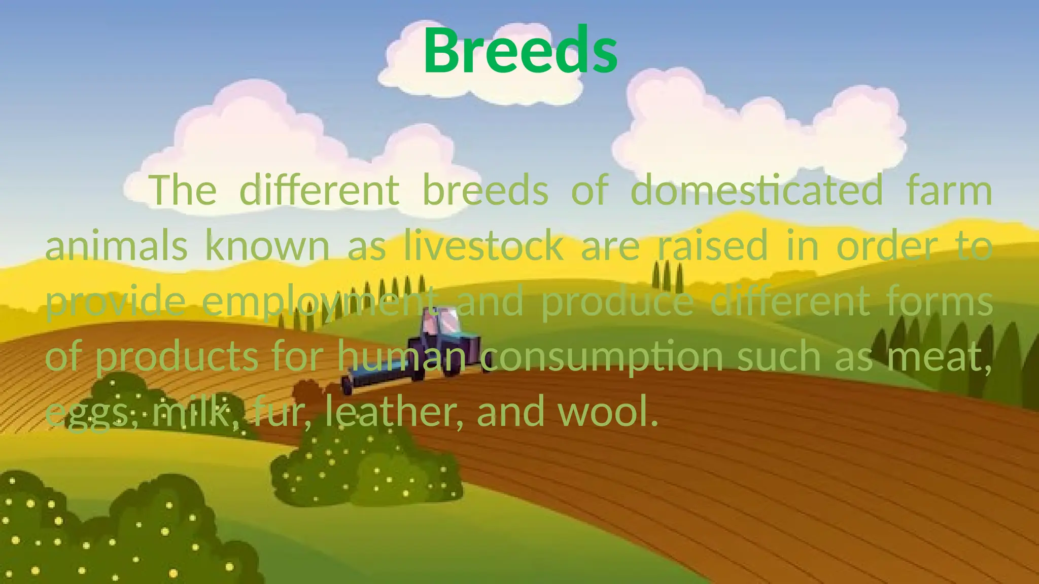 Day 13-16 (Breeds of Farm Animals Chicken, Duck, and Quail).pptx ...