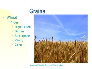 Grains & legumes | PPT