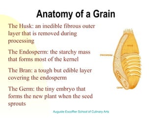 Grains & legumes | PPT | Vegetarian Diets | Food & Drink