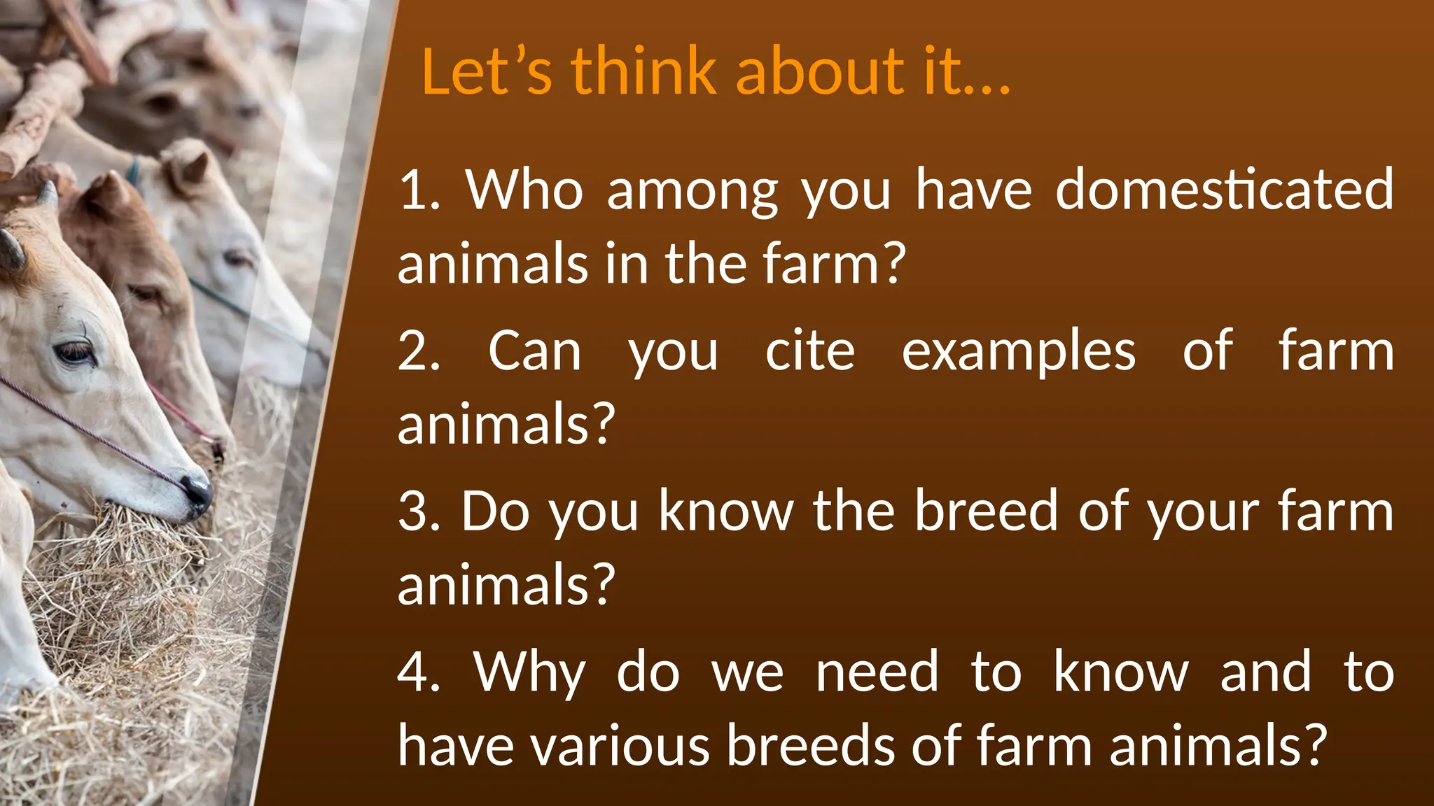 Day 17-20 (Breeds of Farm Animals Cattle, Swine, Goat, and Rabbit).pptx