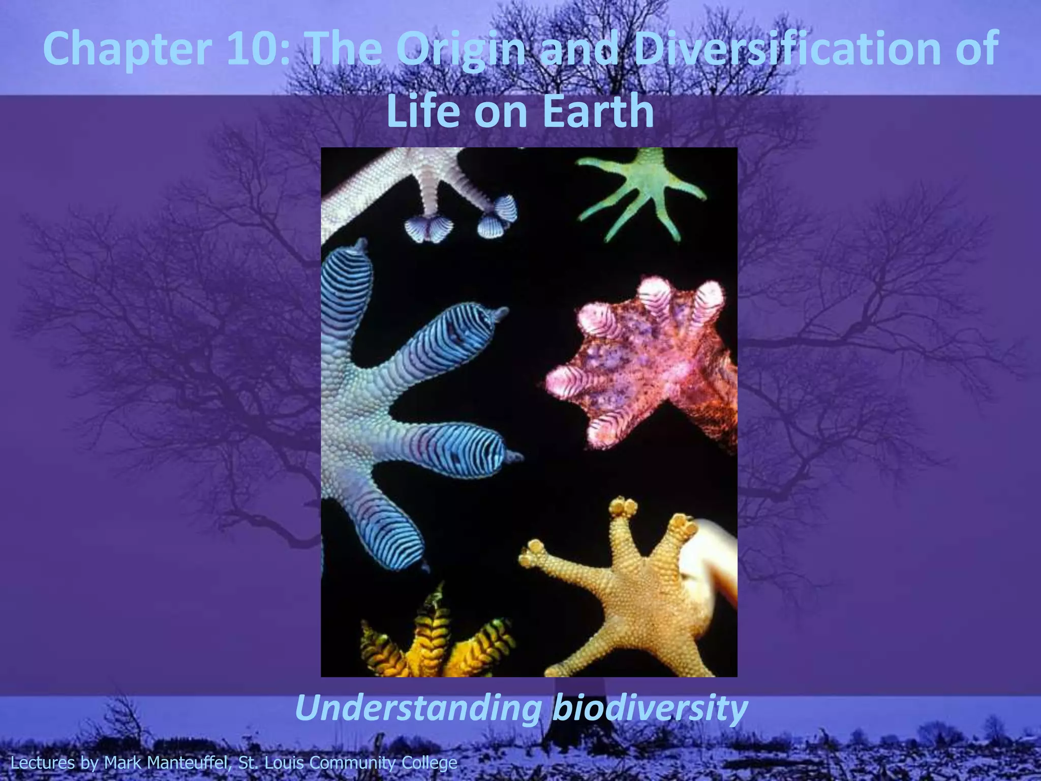 The Diversity of Life on Earth | PPTX