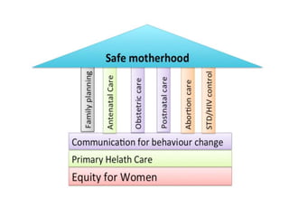Presentation of student training in Bemoc level | PPTX