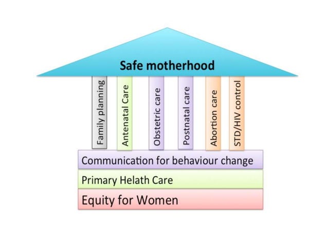 Presentation of student training in Bemoc level | PPTX | Pregnancy ...