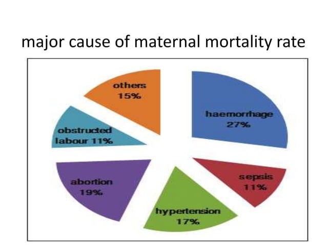Presentation of student training in Bemoc level | PPTX | Pregnancy ...