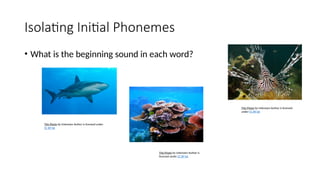 day 1 Developing Phonemic Awareness PM. 1.pptx