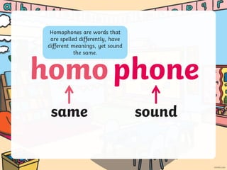 Day 1 Homophones.presentation for english | PPT