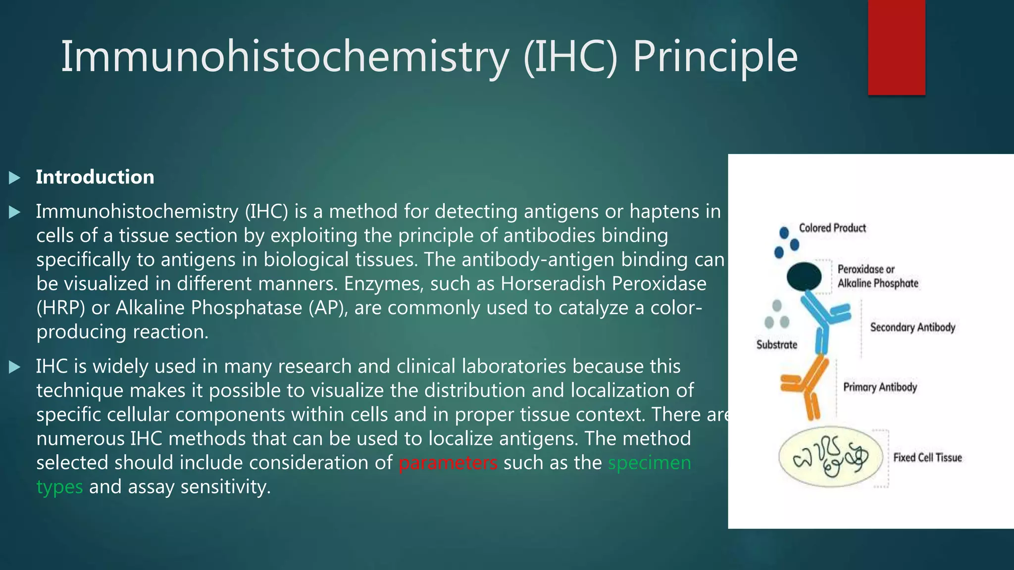 Day1 ihc principle of immunohistochemistry | PPTX