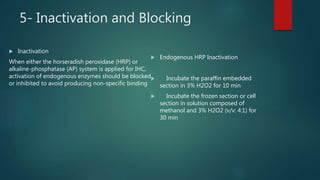 Day1 ihc principle of immunohistochemistry | PPTX