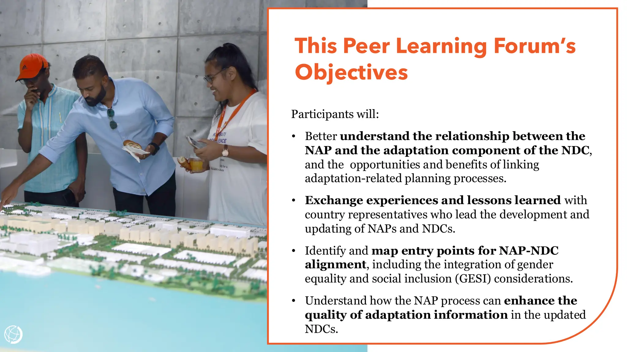 Intro to NAP Global Network and Peer Learning Forum | PDF
