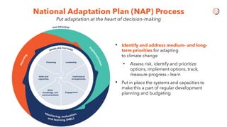 Intro to NAP Global Network and Peer Learning Forum | PDF