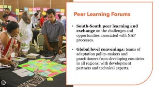 Intro to NAP Global Network and Peer Learning Forum | PDF