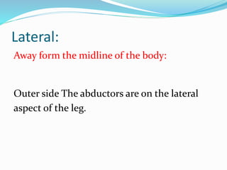 Day 1 kinesiology | PPTX