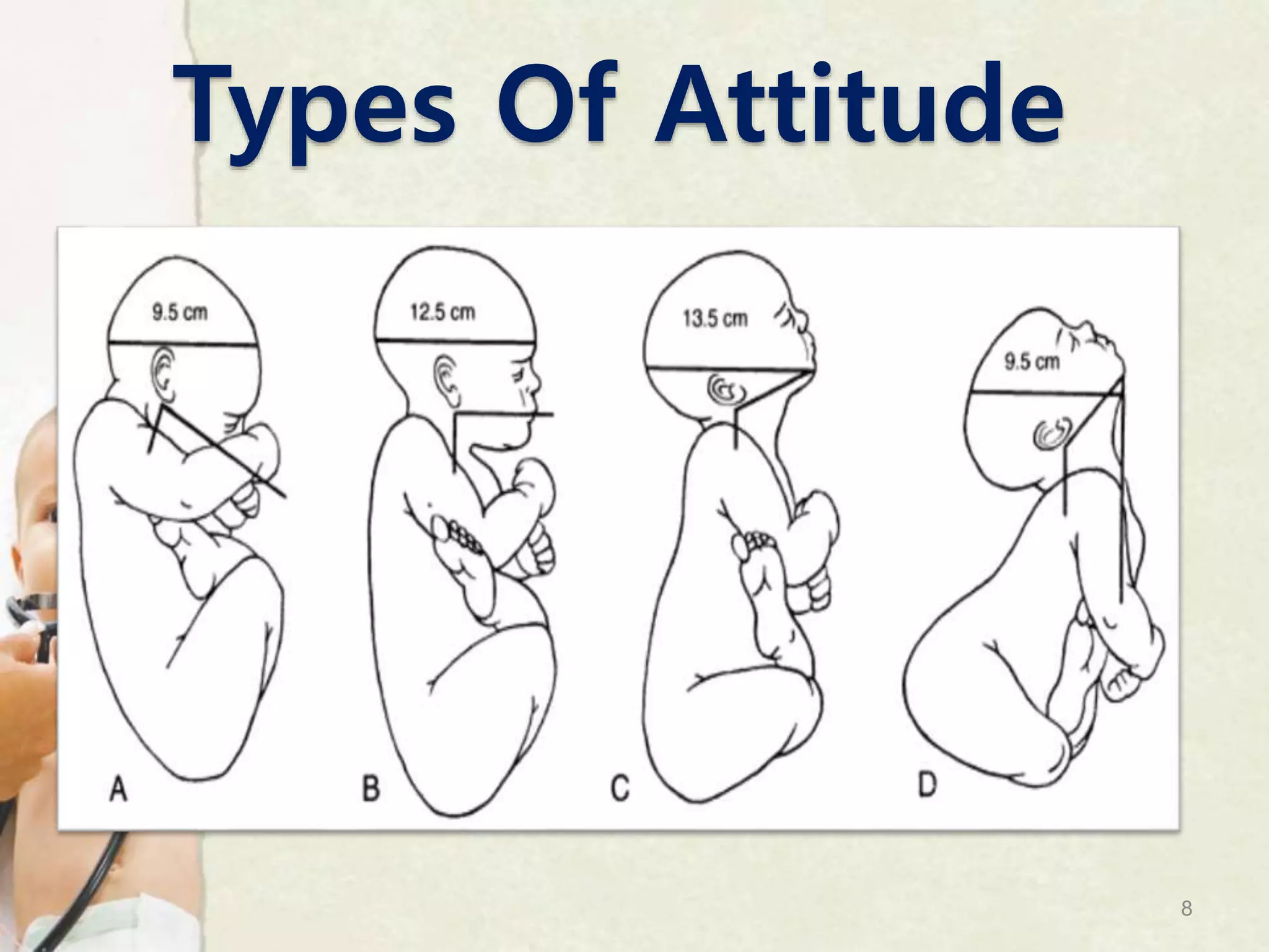 Child birth and labor process | PPT