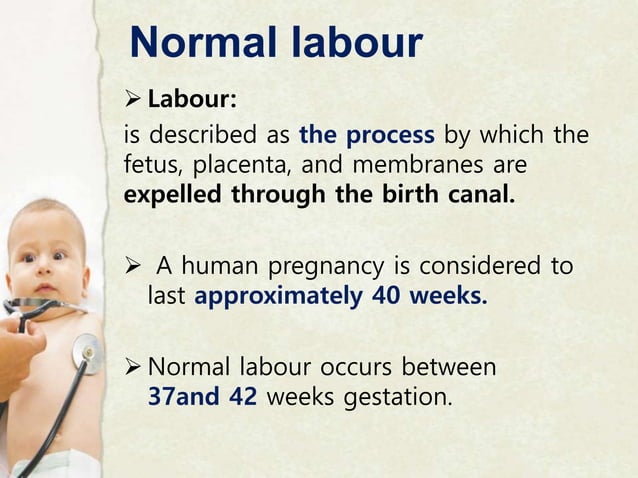 Child birth and labor process | PPT